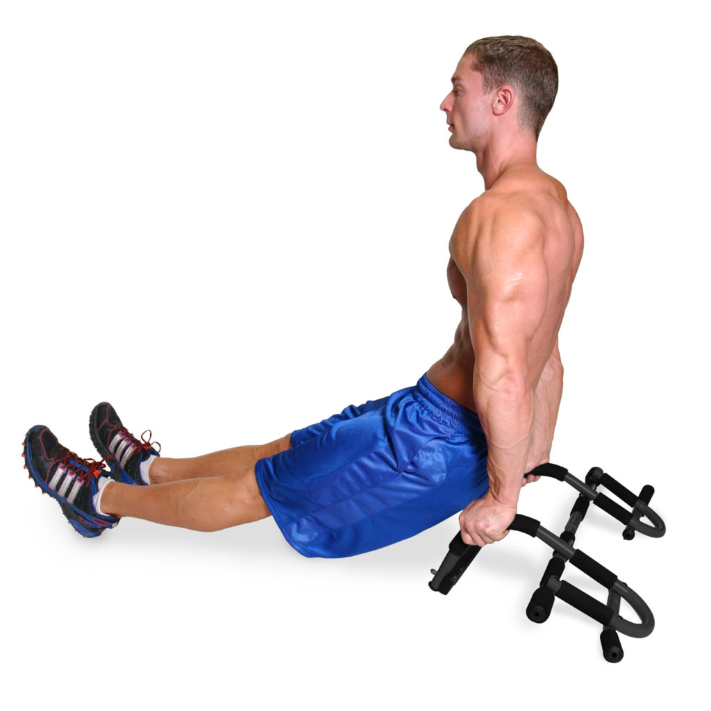 Fuel Pureformance Deluxe Door Gym - Synergy Fitness Products